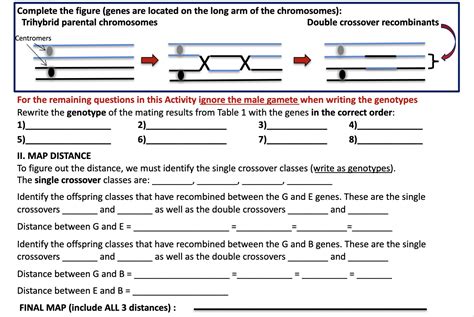 Solved Bio 340 Activity 4 Three Point Cross Gene Order