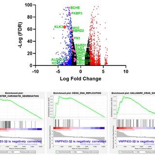 RNA Sequencing And Gene Expression Analysis Shows That Several Download Scientific Diagram