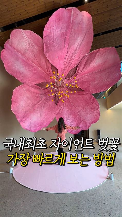 댓글이벤트중 본문 하단 참고 광주근교 드라이브 계획 있으시다면 여기는 꼭 가보셔야 할껄요 황토항아리에서 2시간 정성스럽게 훈연한 바베큐를 예약해야만 맛 볼 수 있는