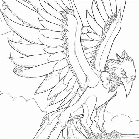 10 Desenhos De Ikki De Fênix Para Imprimir E Colorir