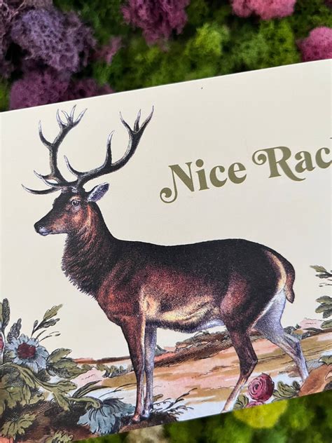 Nice Rack Funny Deer Card Love Friendship Birthday A Mano Brooklyn