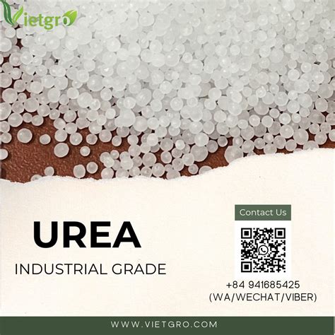 Alissa Phan On Linkedin Vietgro Alissavietgro Fertilizersuplier