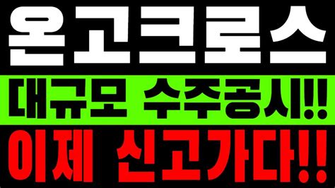 온코크로스 주가전망 대규모 수주공시이제 신고가다온코크로스 온코크로스목표가 온코크로스주가 온코크로스 주가분석 온코크로스 주식전망 온코크로스 매도가