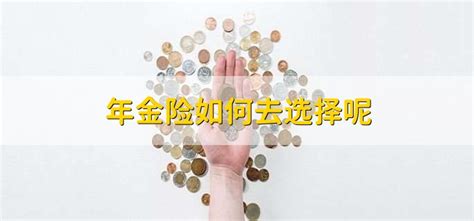 如何查询企业年金个人账户余额 财梯网