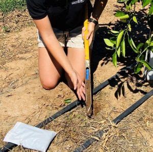 Soil Sampling Irrigating Agriculture Irrigating Agriculture