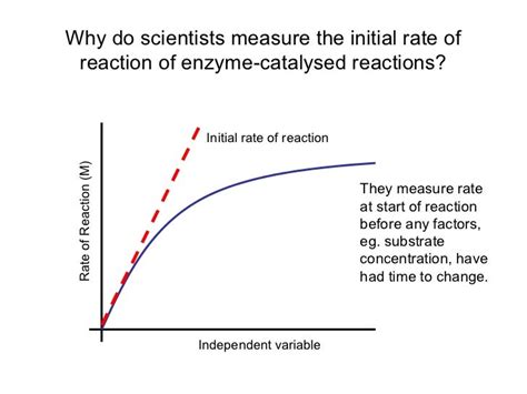 Enzymes