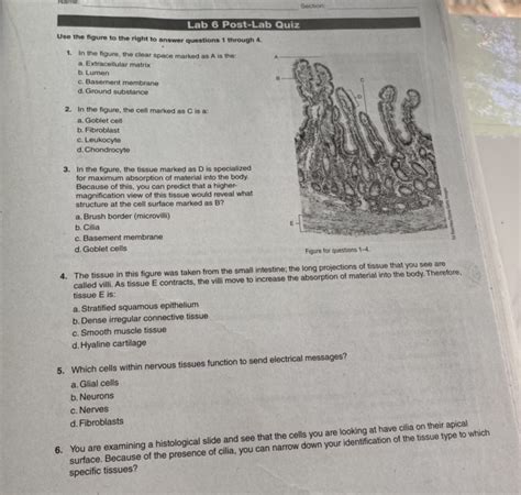 Name Section Lab 6 Post Lab Quiz Use The StudyX