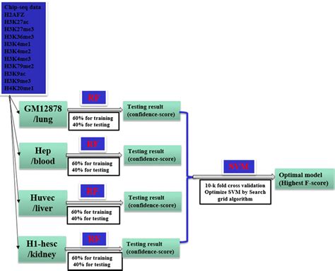 The Overview Of Erfsvm Different Rf Classifiers Are Made As Base Download Scientific Diagram