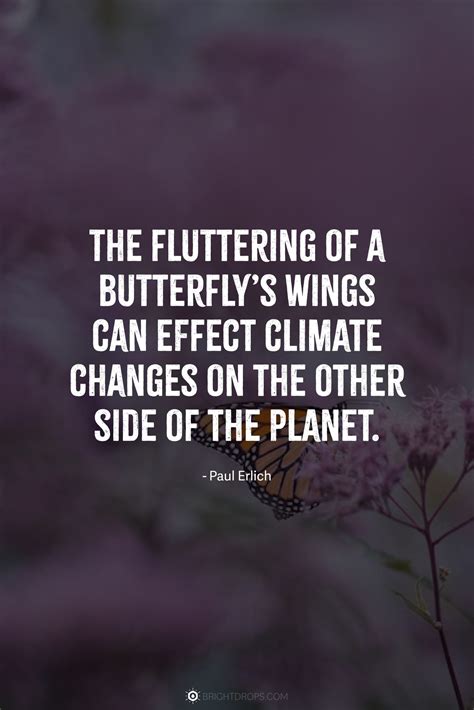149 Beautiful Butterfly Quotes Bright Drops