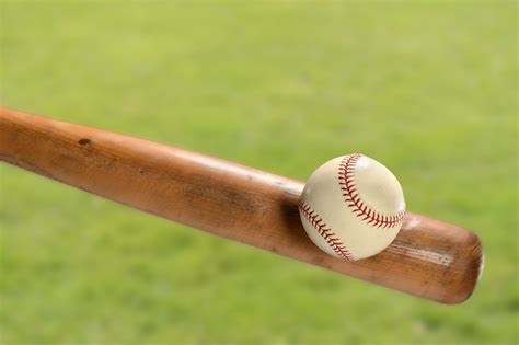 Whats The Best Wood For A Wood Bat Maple Vs Ash Vs Birch Phoenix Bats