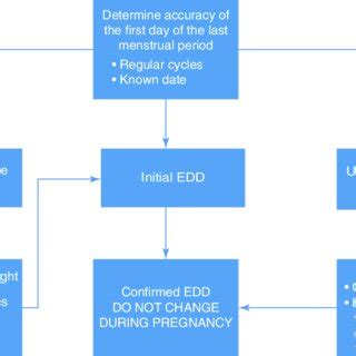 Flow Diagram To Guide Pregnancy Dating EDD Estimated Date Of Delivery Download Scientific