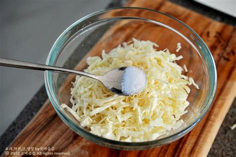 양배추 코울슬로 만들기 드레싱 양배추 샐러드 소스 맛있는 양배추 절임 요리 칼로리 네이버 블로그