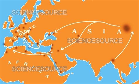 Bubonic Plague World Map