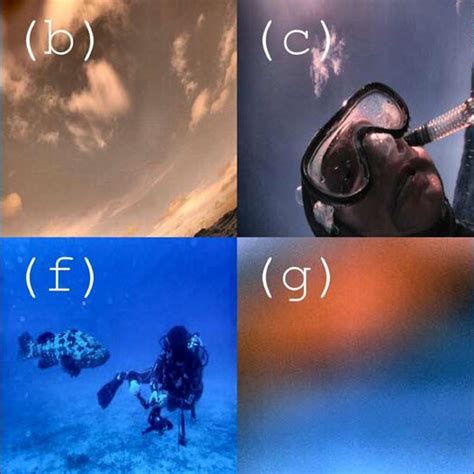 Samples Of False Positive Detection Errors Which Were The Negative Download Scientific Diagram