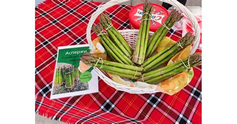 Аспержите уникалният вкус на пролетта