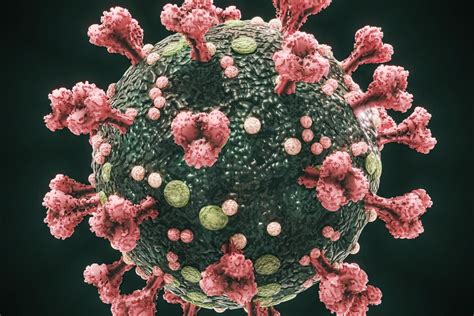 Equilibrium Simulation Of Sars Cov 2 Spike Protein Highlights Its Global Conformational