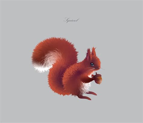 Illustrator Animals Bylio
