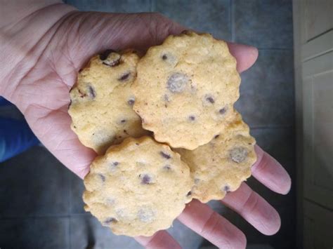 Super Easy Basic Biscuit Recipe Five In The Nest