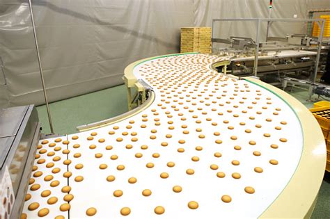 제과 공장에서 향신료 케이크를 생산하는 거대한 컨베이어 기계의 작업을 제어합니다 쿠키 생산 라인 혁신적인 비스킷 생산 0명에 대한 스톡 사진 및 기타 이미지 Istock