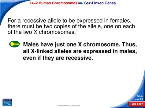 Copyright Pearson Prentice Hall Ppt Download