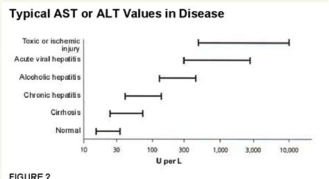 Normal Levels Of Ast And Alt Understanding Normal AST And ALT Levels Ranges Results And