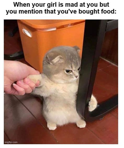 Almost 11m People Liked This Meme Page Called “mens Humor” And Here