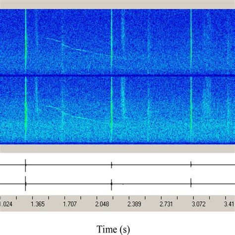Spectrogram Frequency Versus Time Graph And Amplitude Plot Of 4 S Of