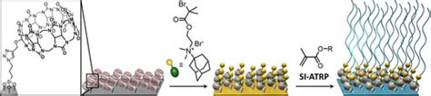 Supramolecular Polymer Brushes Grown By Surface‐initiated Atom Transfer Radical Polymerization