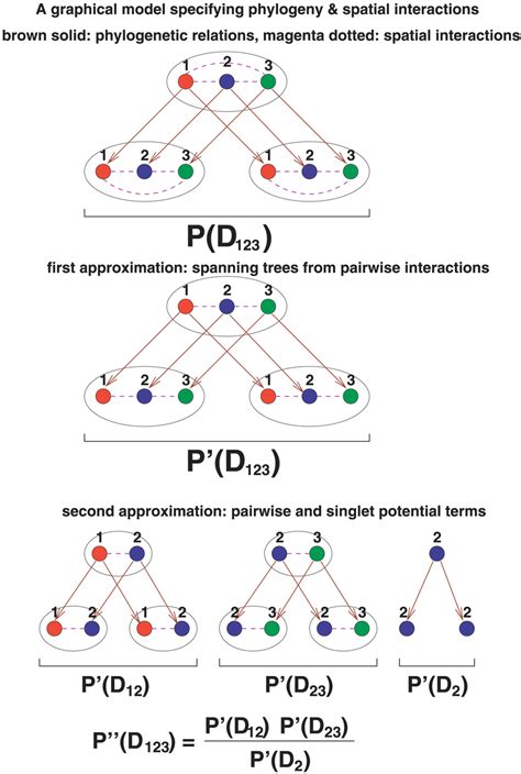 A Space Time Model Of Multiple Coevolving Positions Top A Space Time