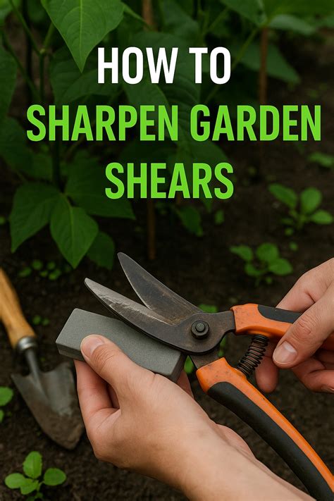 How To Sharpen Garden Shears A Complete Step By Step Guide
