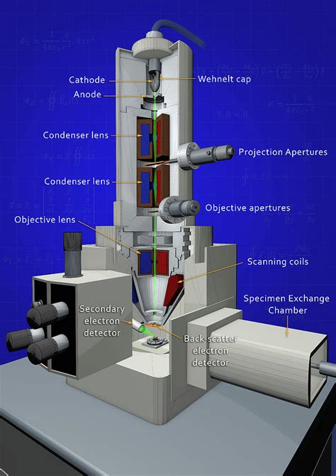 Scanning Electron Microscope Photograph By Science Photo Library Pixels
