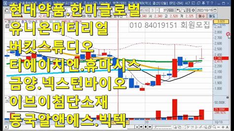 관심종목 현대약품한미글로벌유니온머티리얼버킷스튜디오티에이치엔휴마시스금양넥스턴바이오이브이첨단소재동국알앤에스빅텍