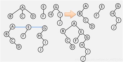 【数据结构和算法】树与森林and树与二叉树的转换 阿里云开发者社区