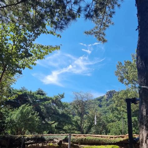 Yinwei Zhou Data Analysis Consultant Bachelor Of Science Data Technology Research Profile