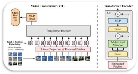 GitHub Akanks Cell Brain Tumor Detection And Classification Using Machine Learing ViT Fine