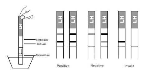 How To Use Ovulation Tests OPK Ovulation Tests NZ