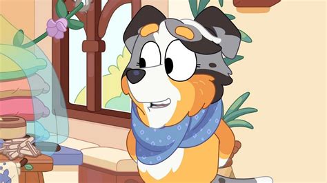 All Bluey Dog Breeds Confirmed The Mary Sue