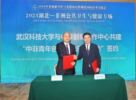 Wuhan University Of Science And Technology