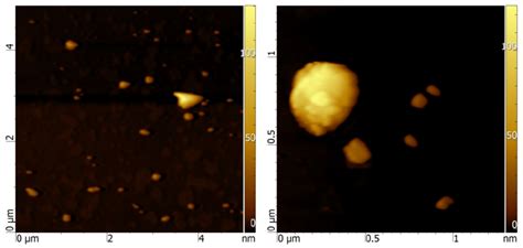 13 Left Afm Topographic Mappings Of Several N Cl 20hmx Nano Plates