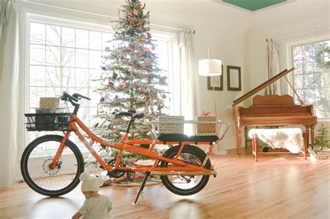 Biking with my kids on a Yuba Bike | The Salt Project