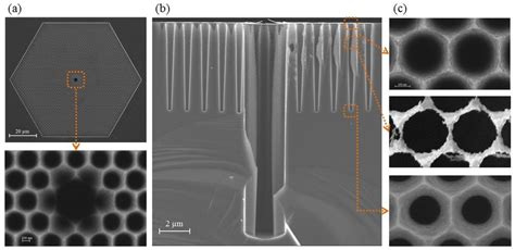 Full 2 D Bandgap Plot Including Core Guided Modesolid Line And Download Scientific Diagram