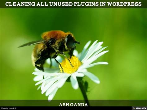 Cleaning All Unused Plugins In Wordpress Pdf Shareware And Freeware