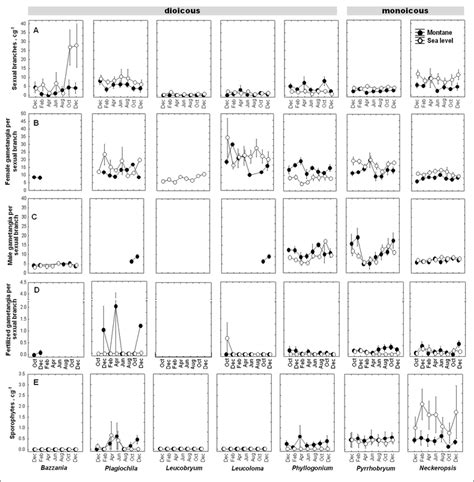 Number Of Sexual Branches Per Mass A Number Of Female B And Male C Download Scientific