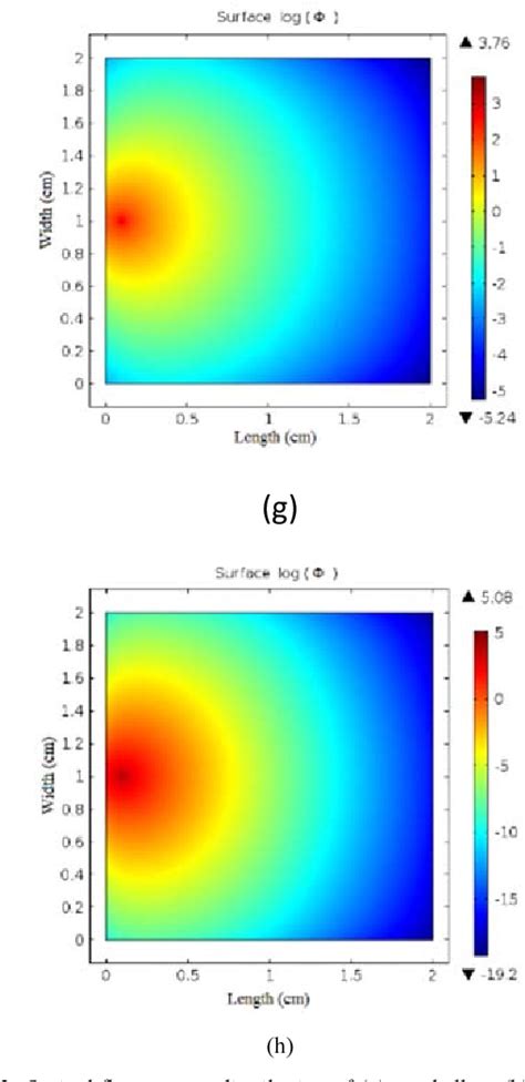 Figure 3 From Simulating Light Diffusion In Human Brain Tissues Using Monte Carlo Simulation And