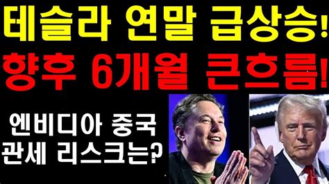테슬라 연말 급상승 한번더 오나 향후 6개월 큰 흐름 만든다 엔비디아 중국 관세 리스크는 로보택시 준비 차근 차근 테슬라