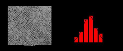 Figure S1 Characterization Of The As Synthesized Cspbbr 3 Ncs A The Download Scientific