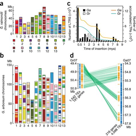 Whole Genome Alignment And Expansion Of The G Arboreum Genome Ab Download Scientific