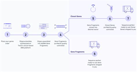 Genes Overview Twist Bioscience