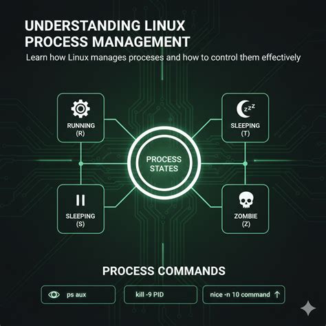 Understanding Linux Process Management 7azzani