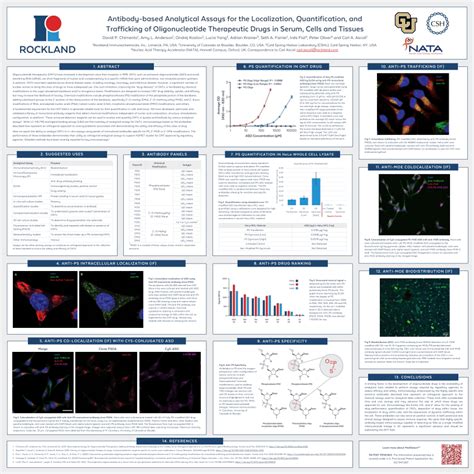 Pdf Antibody Based Analytical Assays For The Localization Quantification And Trafficking Of
